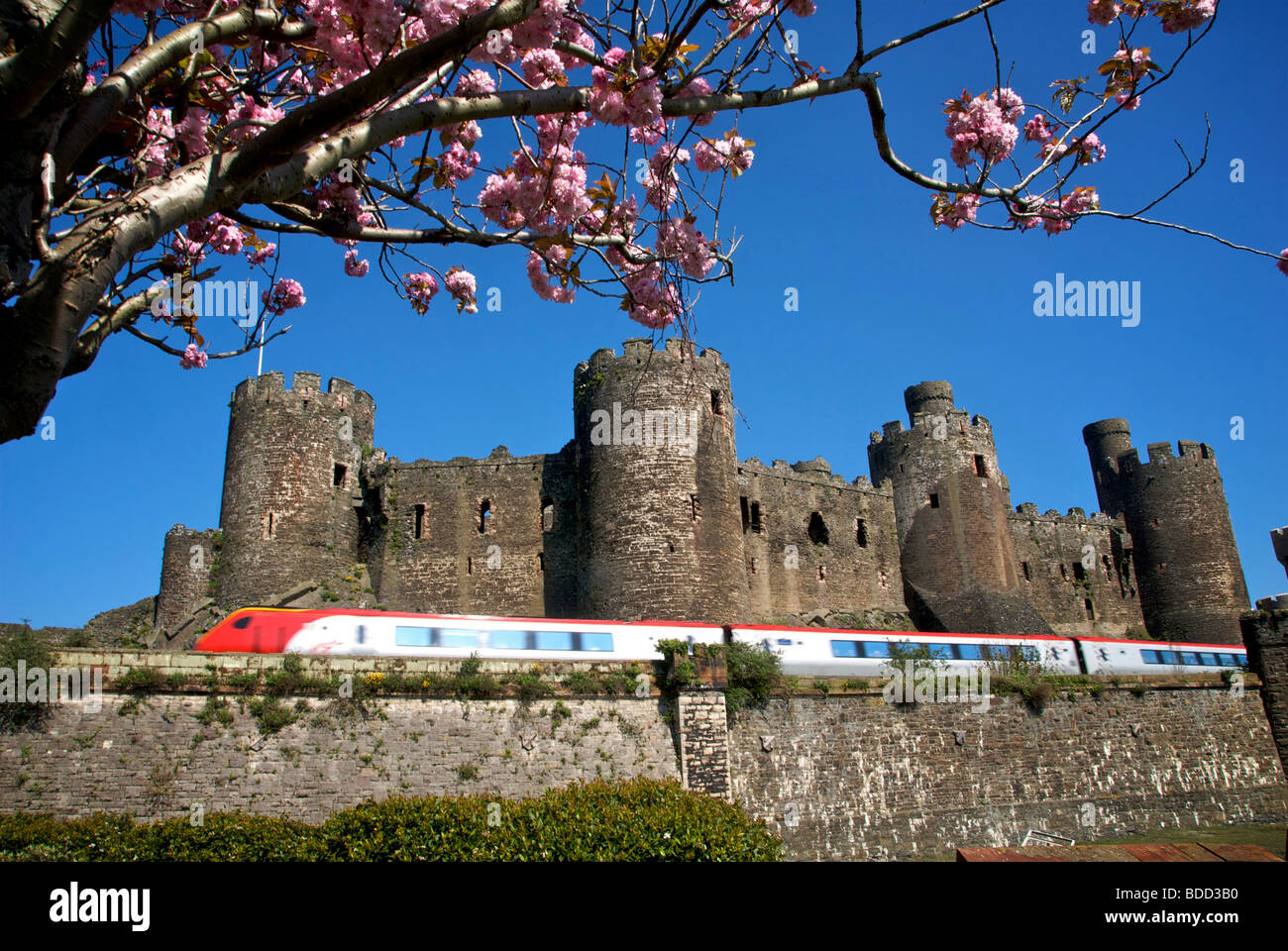 Conwy castle train hi-res stock photography and images - Alamy