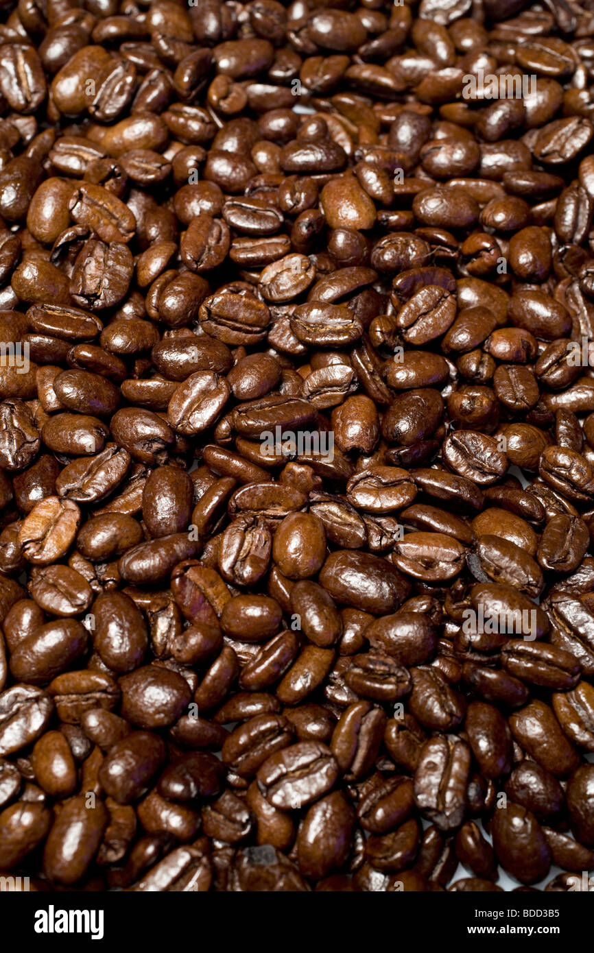 Roasted Arabica Coffee Beans Stock Photo - Alamy