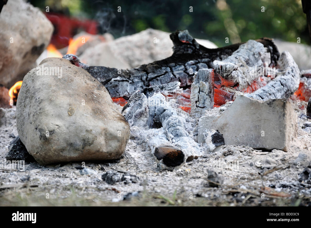 Ash log hi-res stock photography and images - Alamy