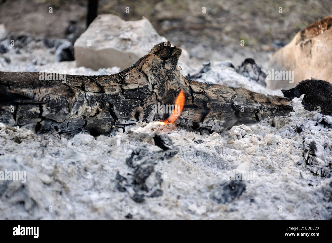 Camp fire ashes hi-res stock photography and images - Alamy