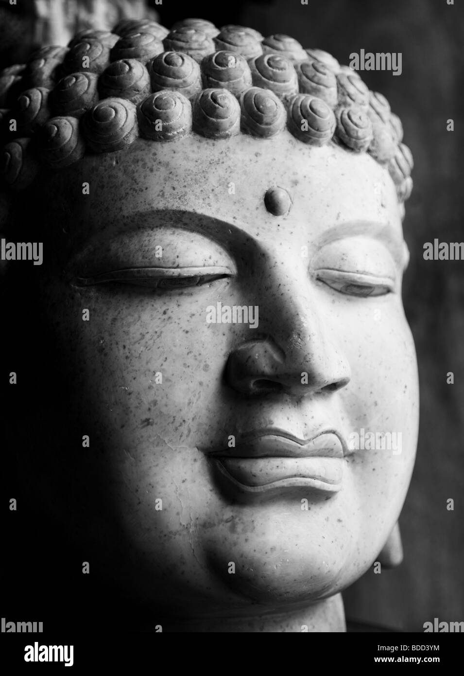 Stone head of Buddha Stock Photo - Alamy