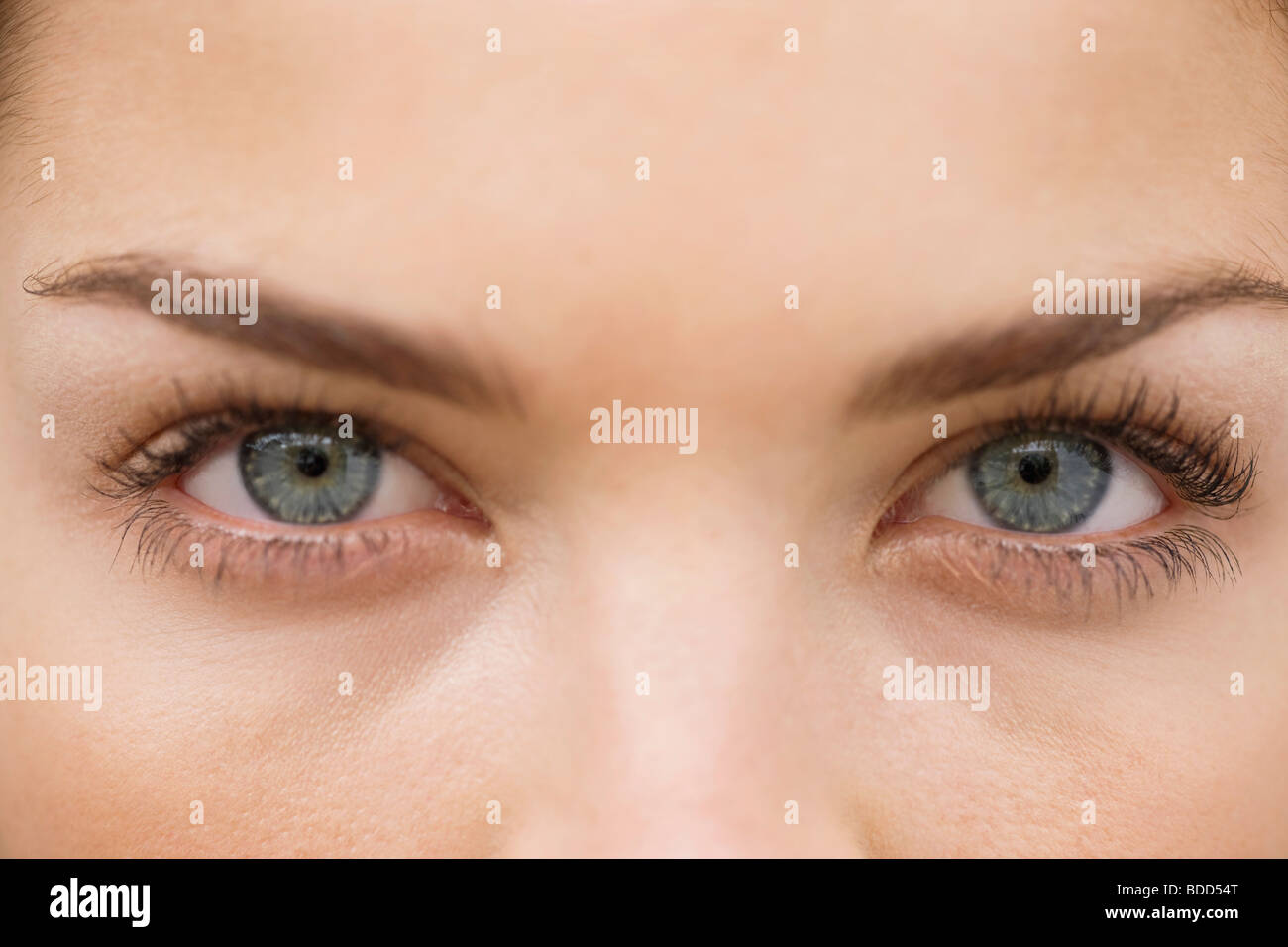Full color vision eyes hi-res stock photography and images - Alamy