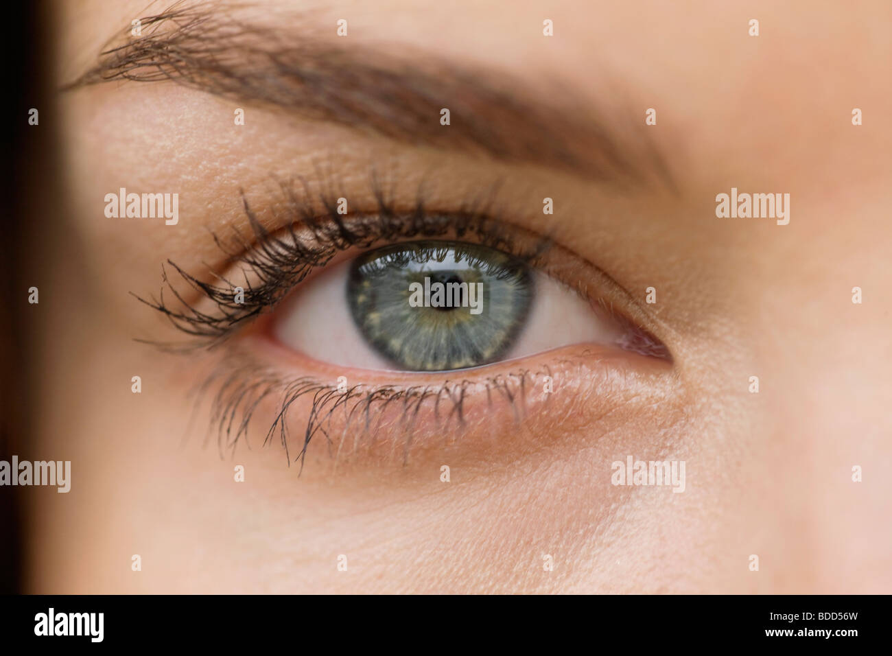 Full color vision eyes hi-res stock photography and images - Alamy