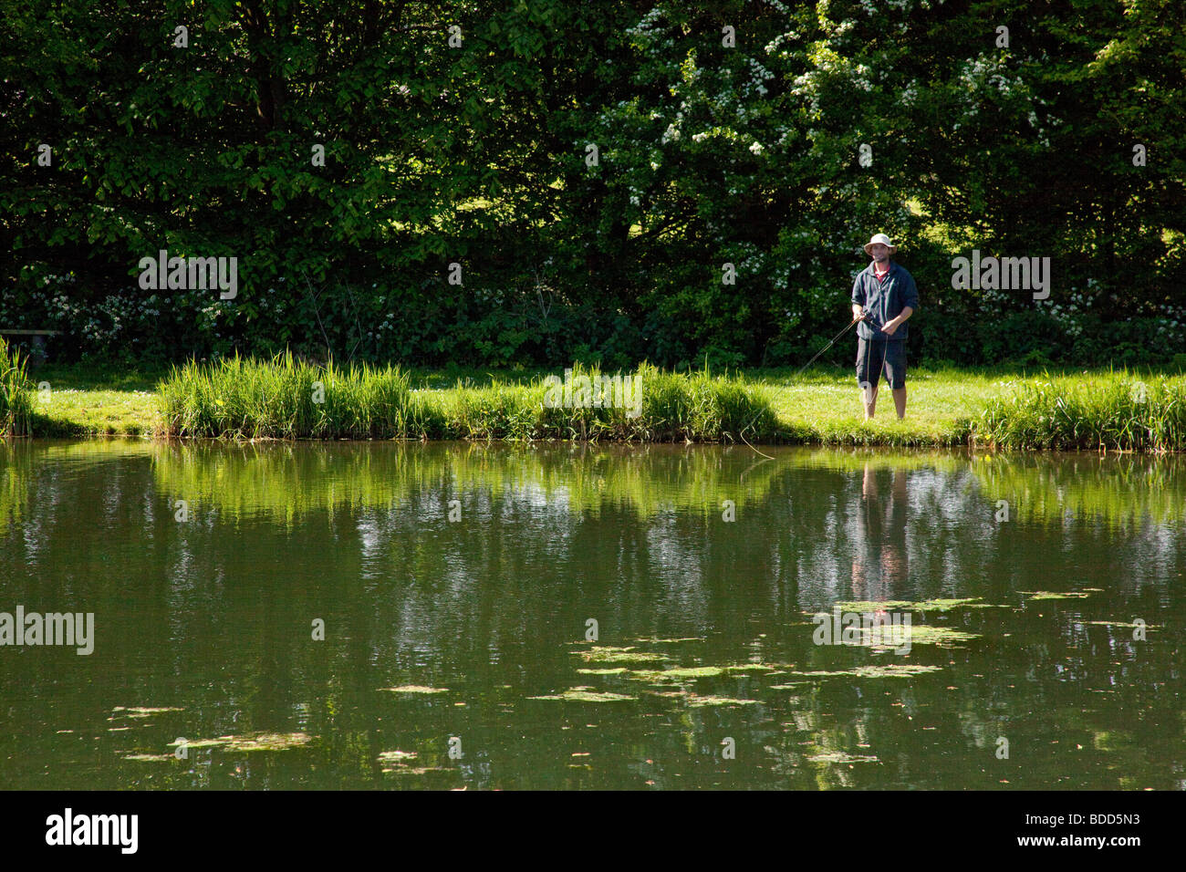 Meon Springs trout fishery, Hampshire, England Stock Photo - Alamy