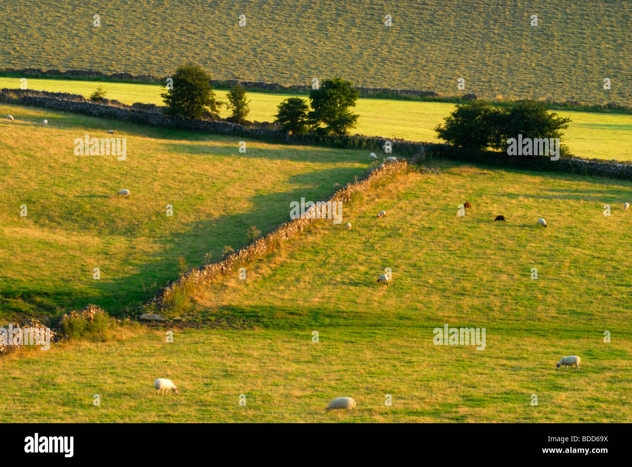 Derbyshire farmland near Middleton, England, UK Stock Photo - Alamy