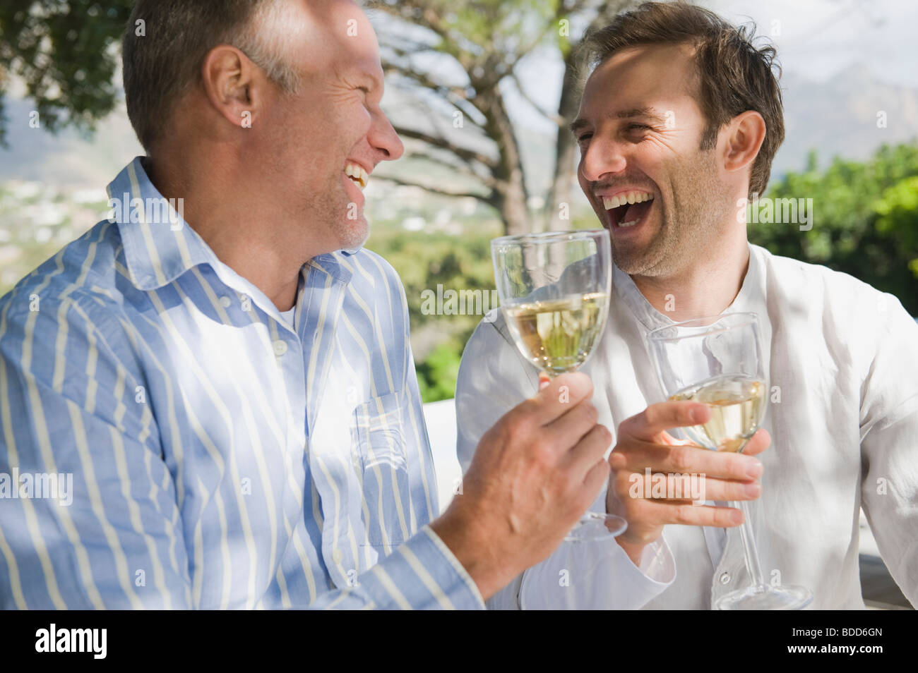 Two friends drinking white wine Stock Photo - Alamy