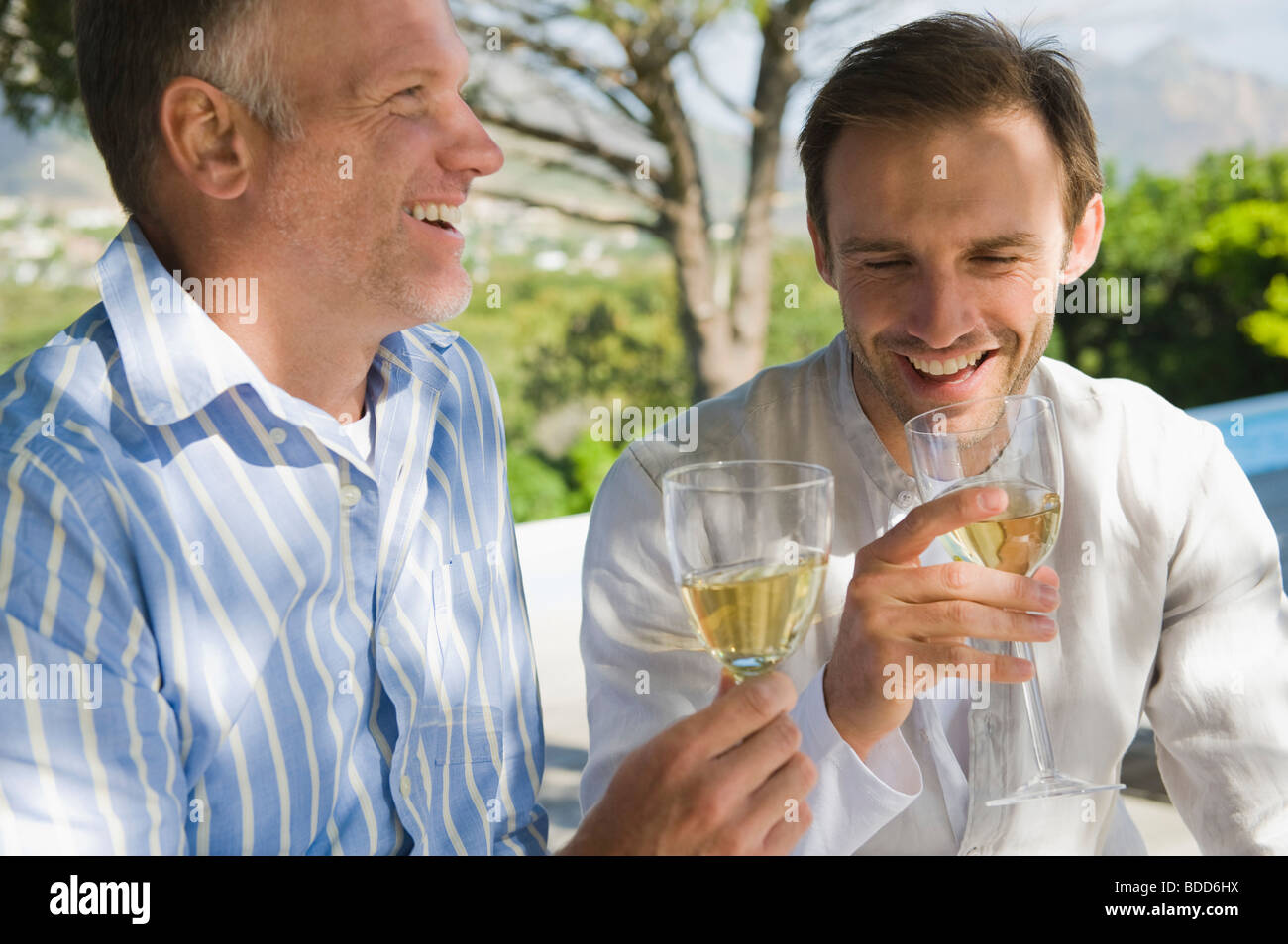Two friends drinking white wine Stock Photo - Alamy