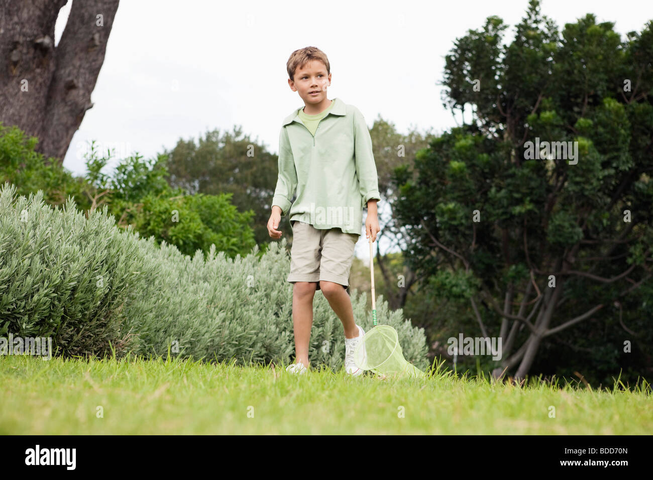 Boy playing butterfly net in hi-res stock photography and images - Alamy
