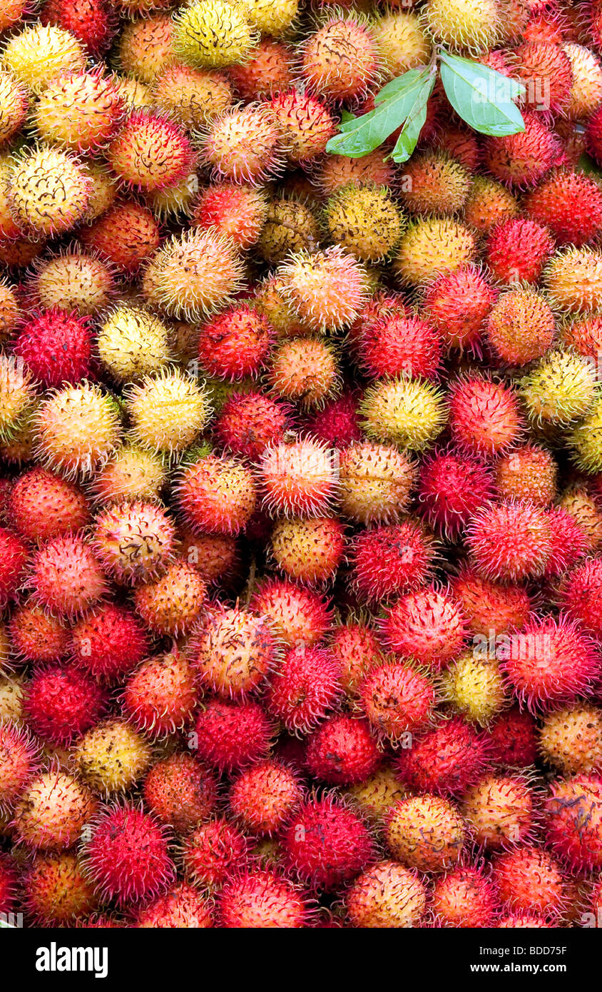 Lychees for sale at a Vietnamese market Stock Photo - Alamy
