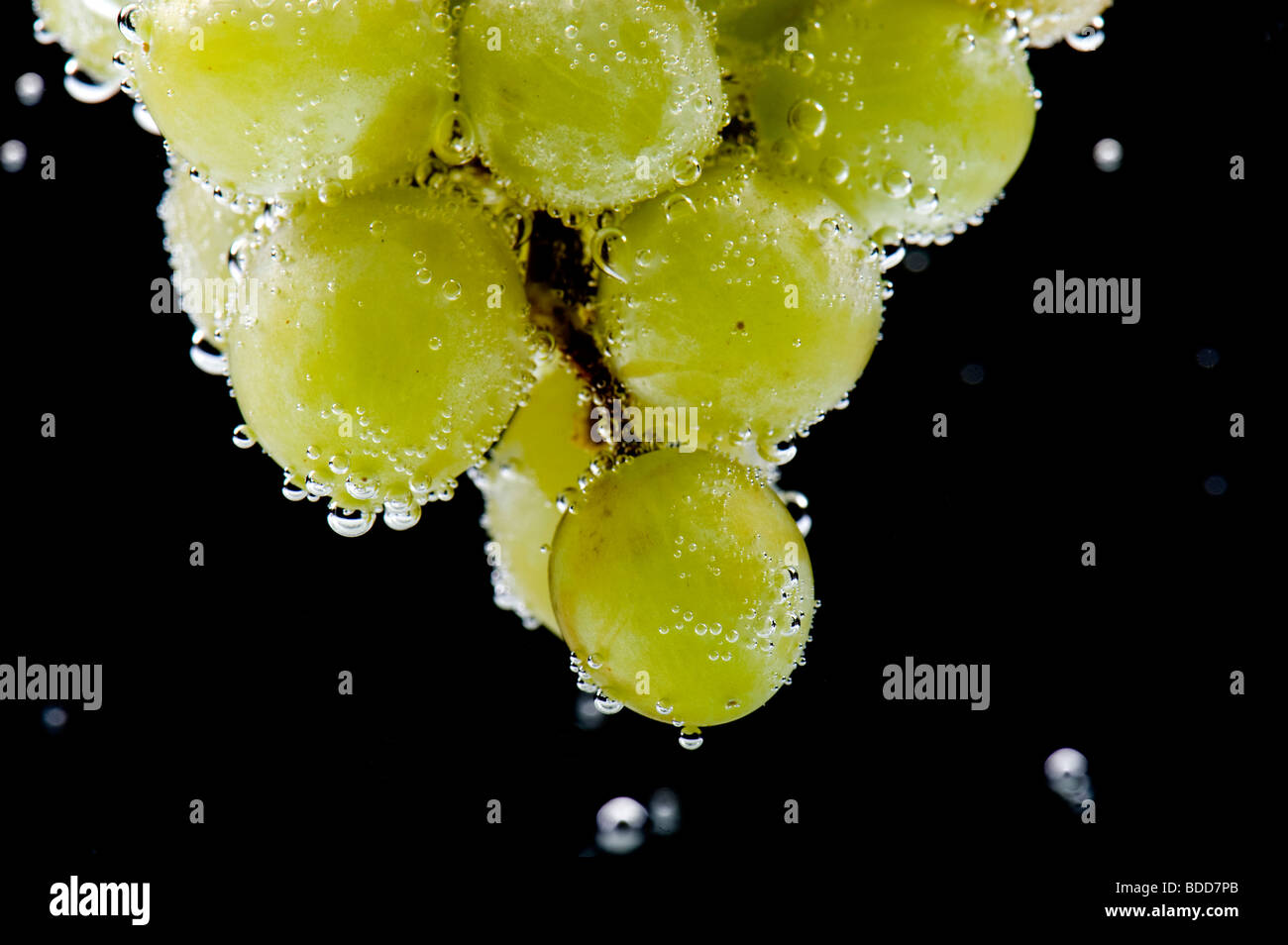 object on black grapes in water Stock Photo - Alamy