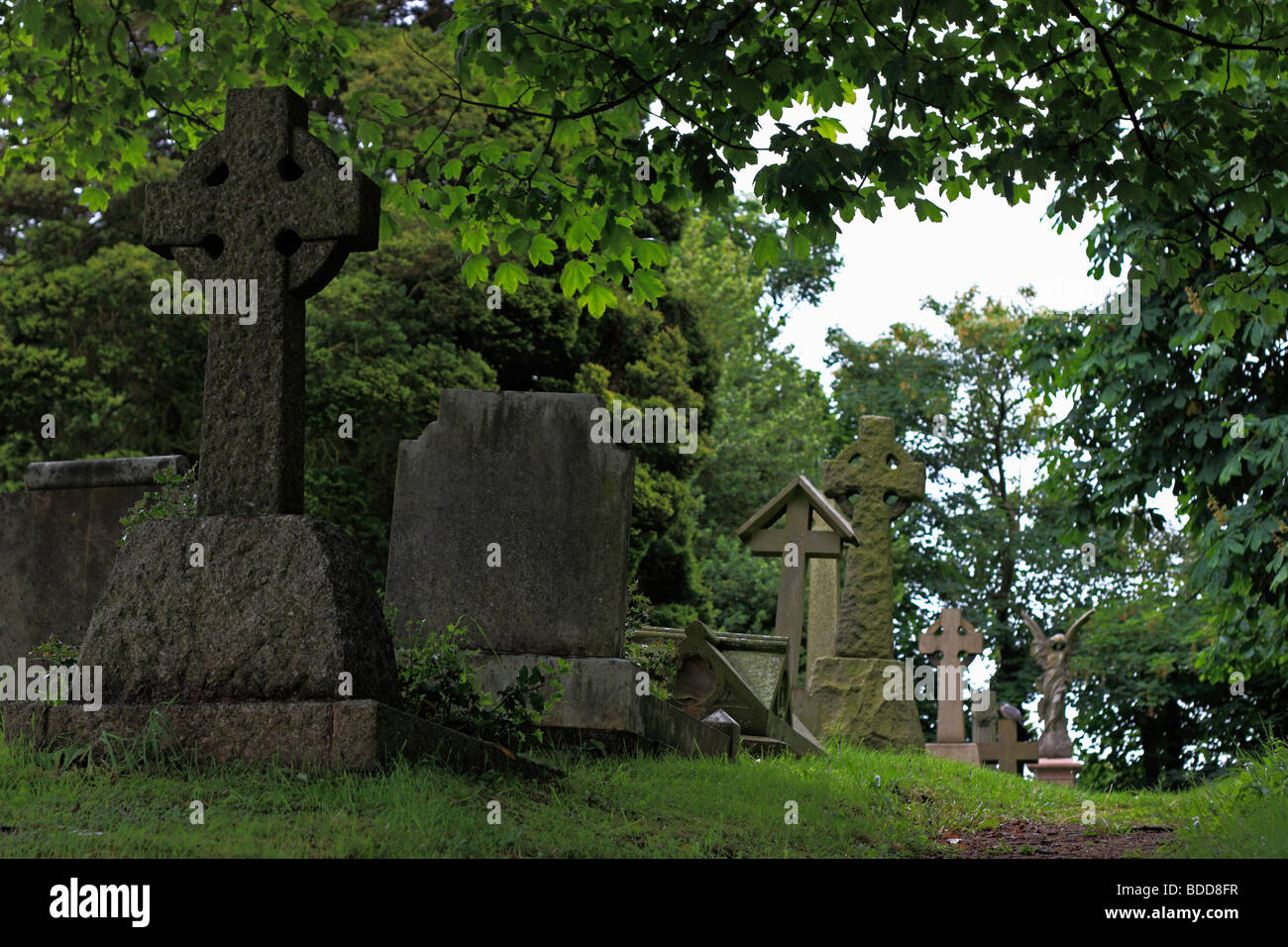 An overgrown, gothic graveyard Stock Photo - Alamy