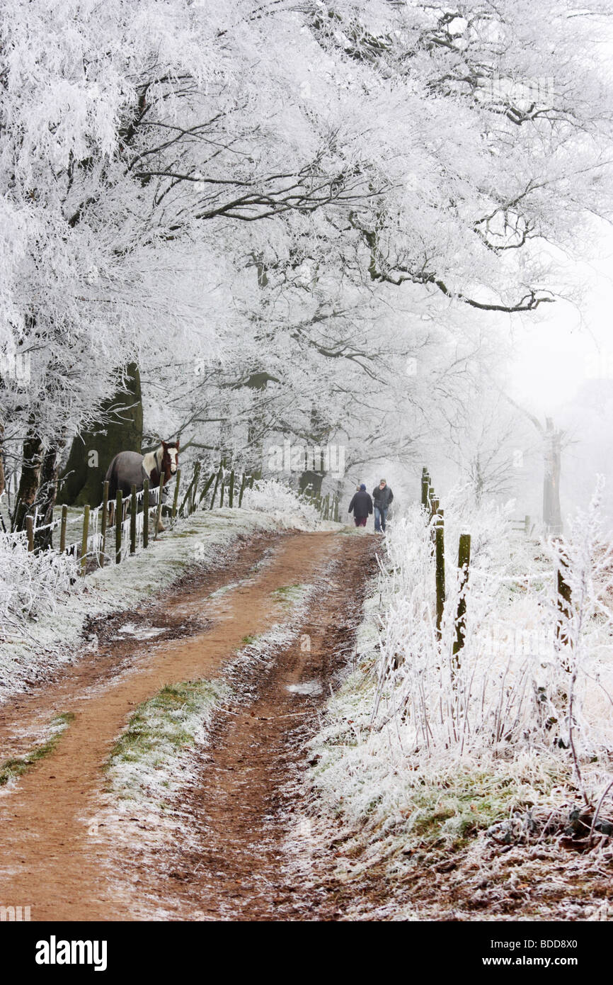Lane frost hi-res stock photography and images - Alamy