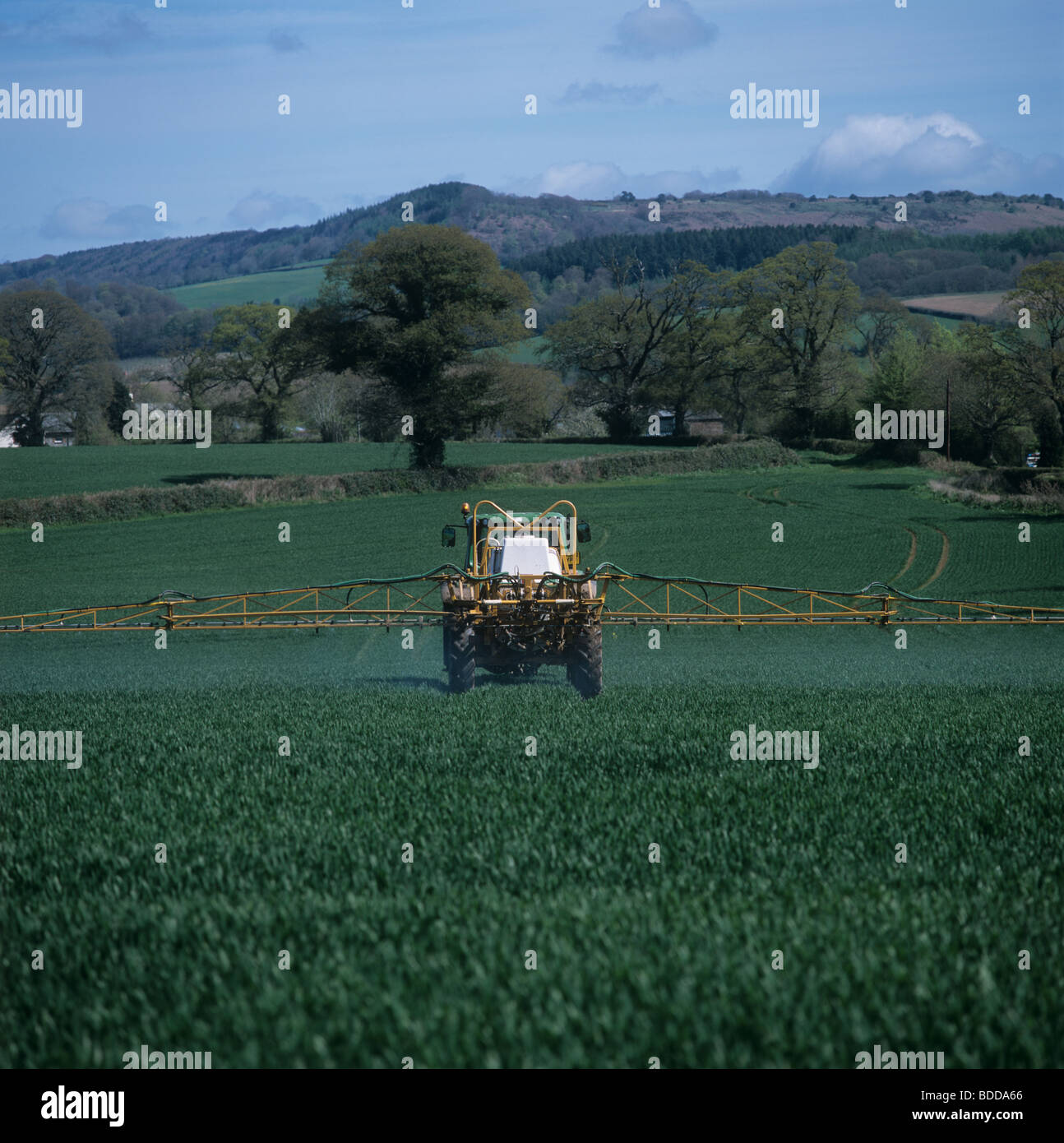 John Deere tractor with Knight trailed sprayer spraying wheat crop in ...