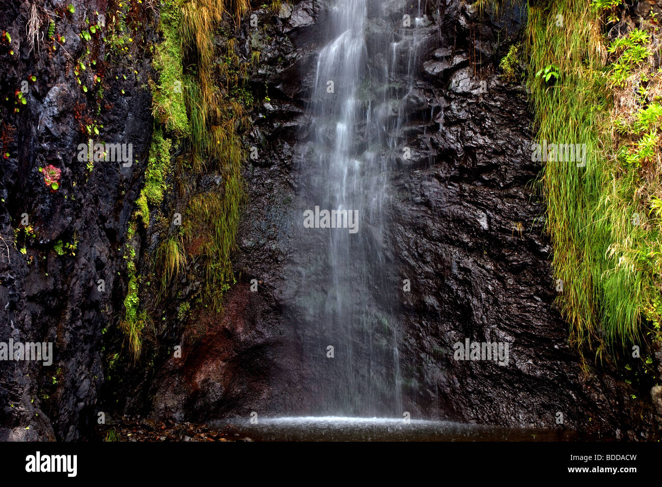 small river waterfall at Madeira Island Portugal Stock Photo - Alamy