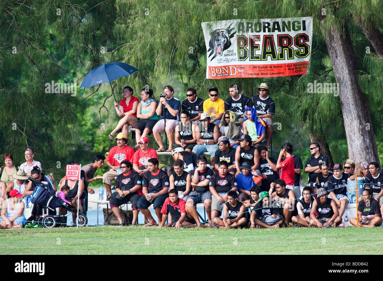 Union bears fans hi-res stock photography and images - Alamy