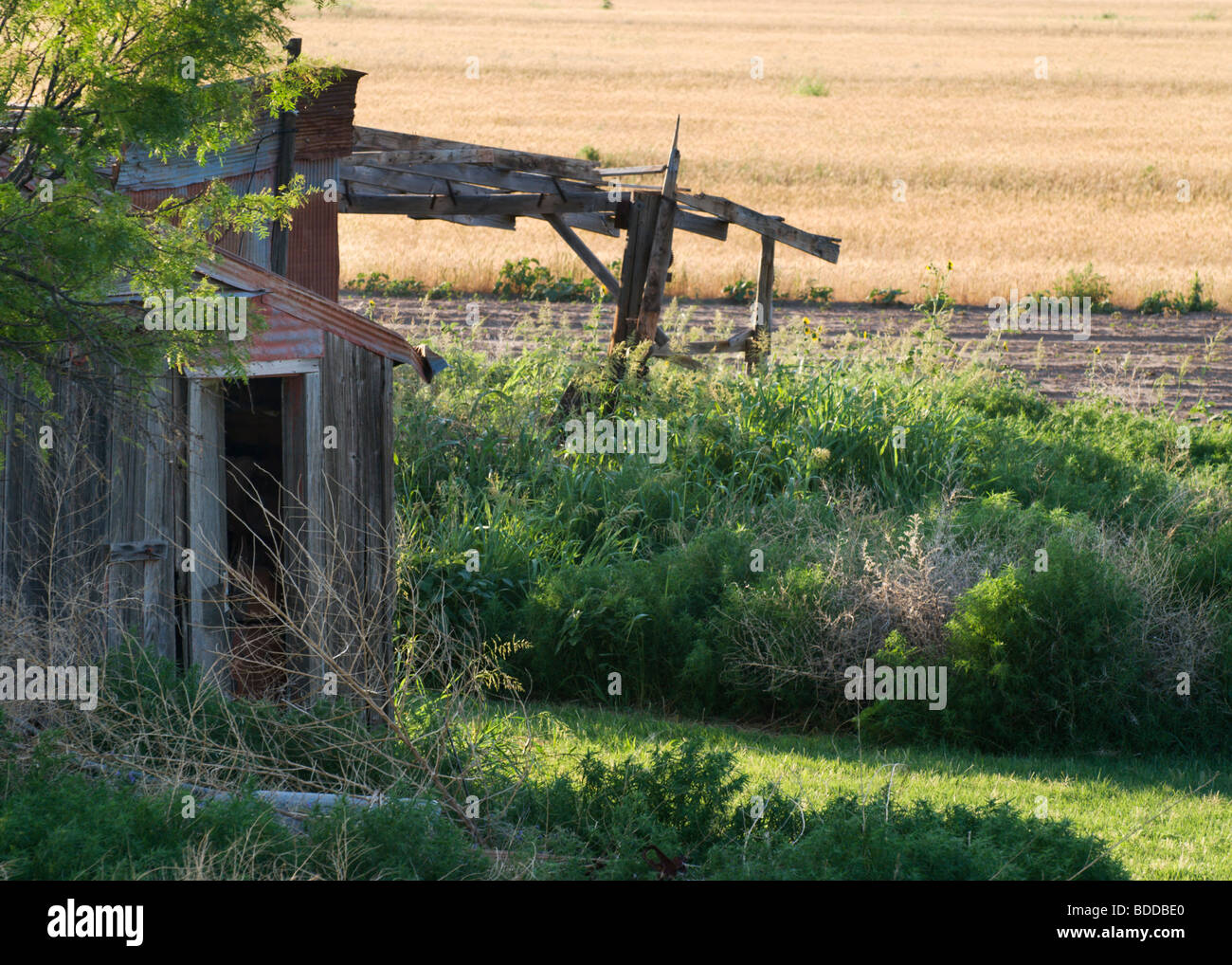 Abandoned Shack High Resolution Stock Photography and Images - Alamy