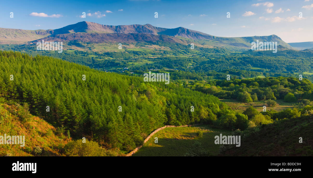 Cadair Idris and the Mawddach Estuary from the Precipice Walk nr ...