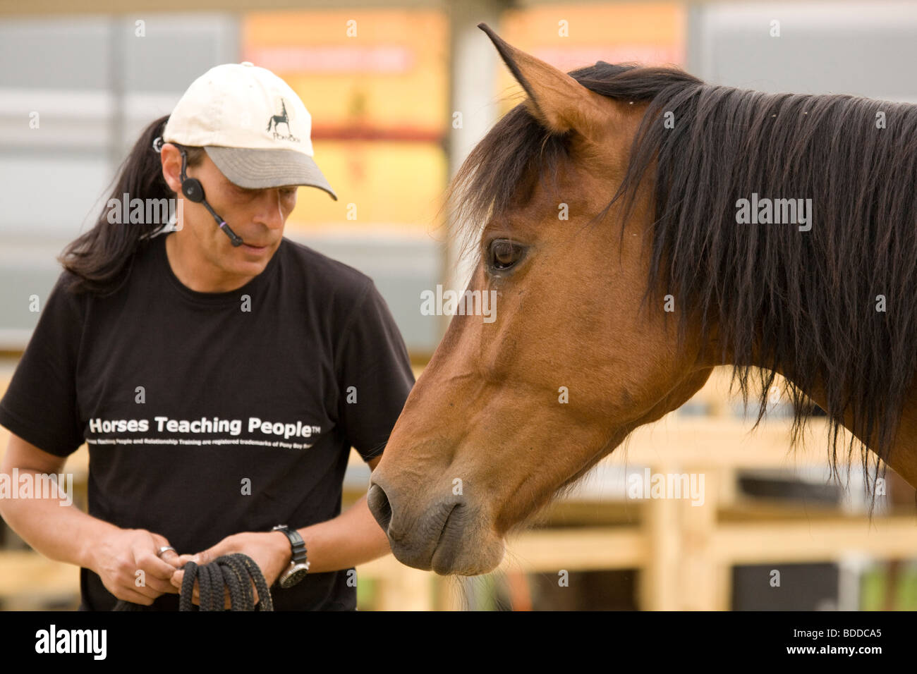 Saeta equina 2009 horse show hi-res stock photography and images - Alamy