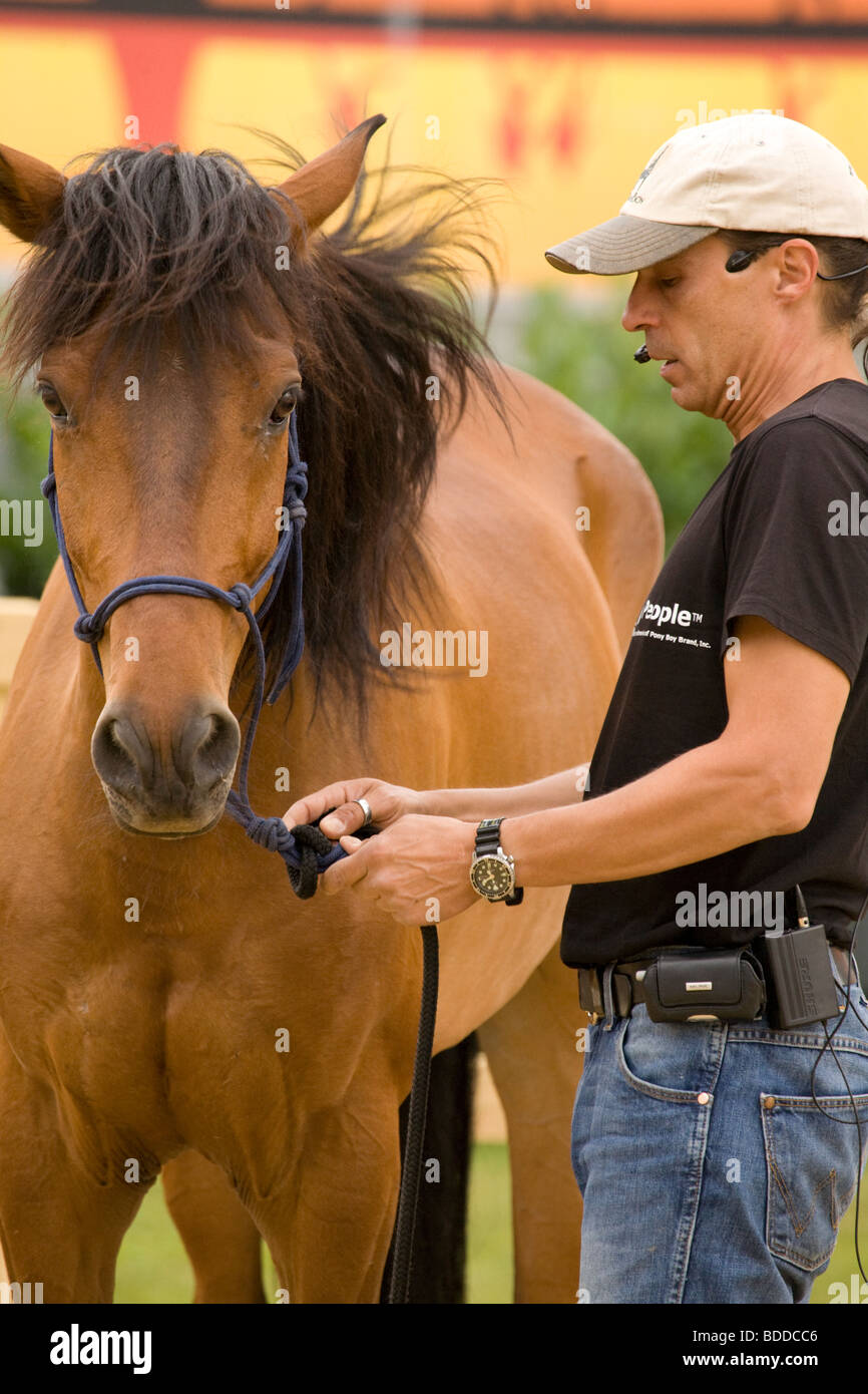 Saeta equina 2009 horse show hi-res stock photography and images - Alamy