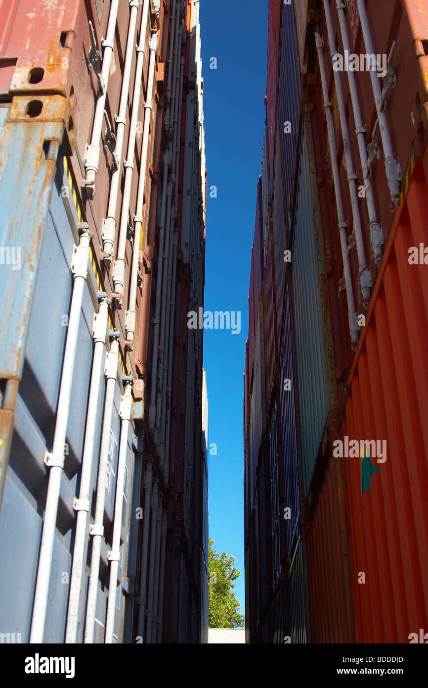 tree between containers Stock Photo - Alamy