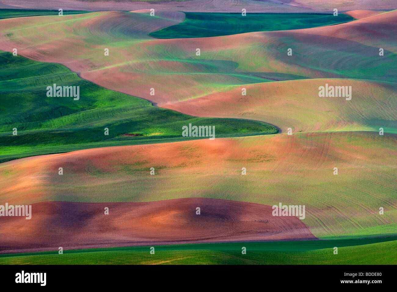 Mosaic patterns of planted crops in eastern Washington's Palouse region ...