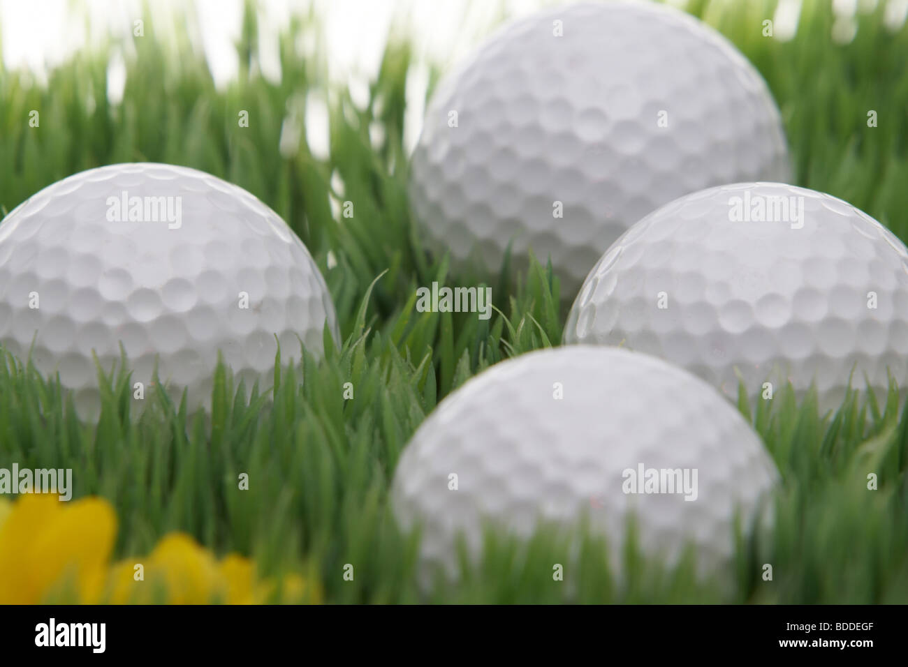golf balls in a meadow with flower Stock Photo - Alamy