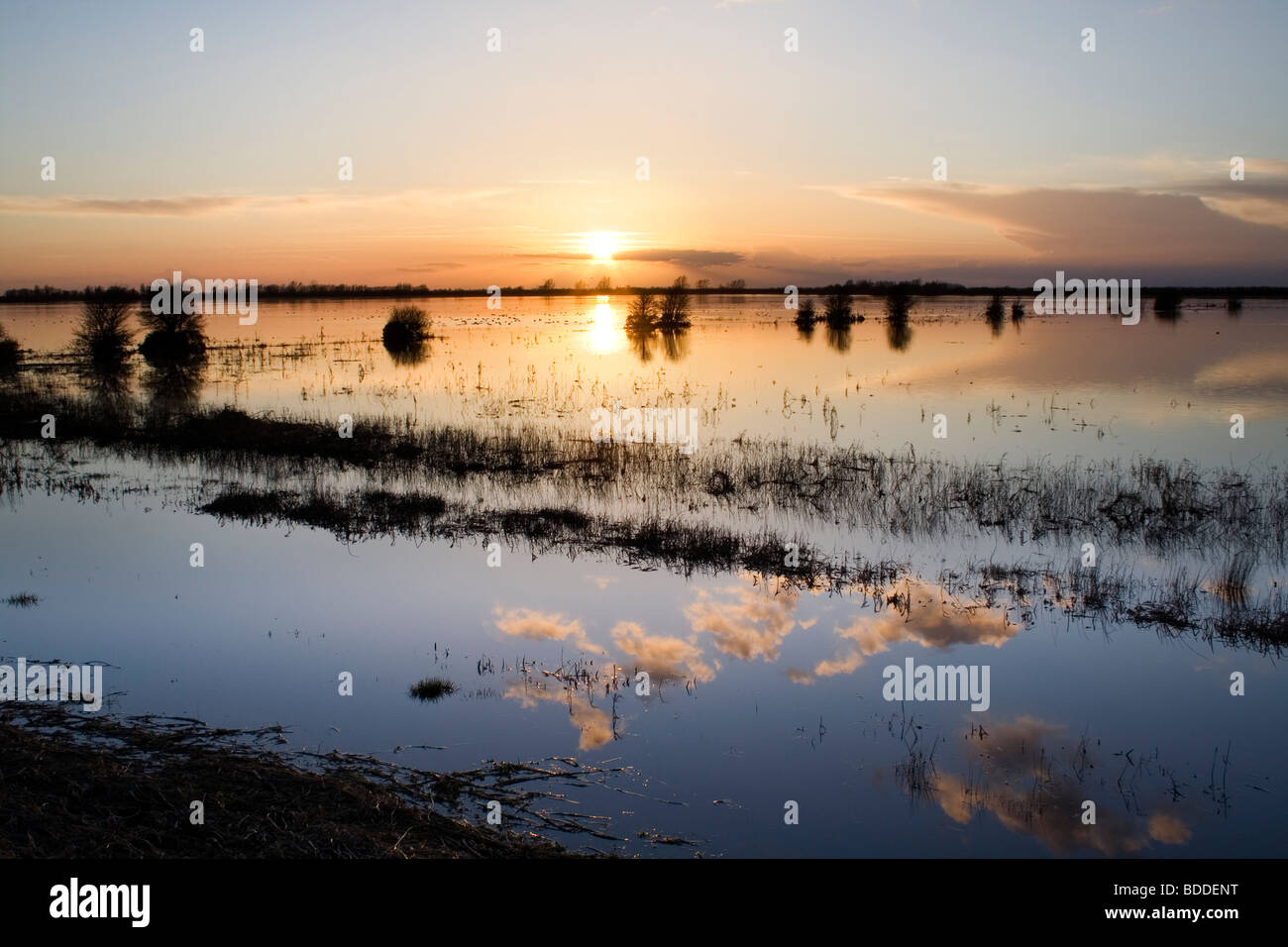 Tranquil fens hi-res stock photography and images - Alamy