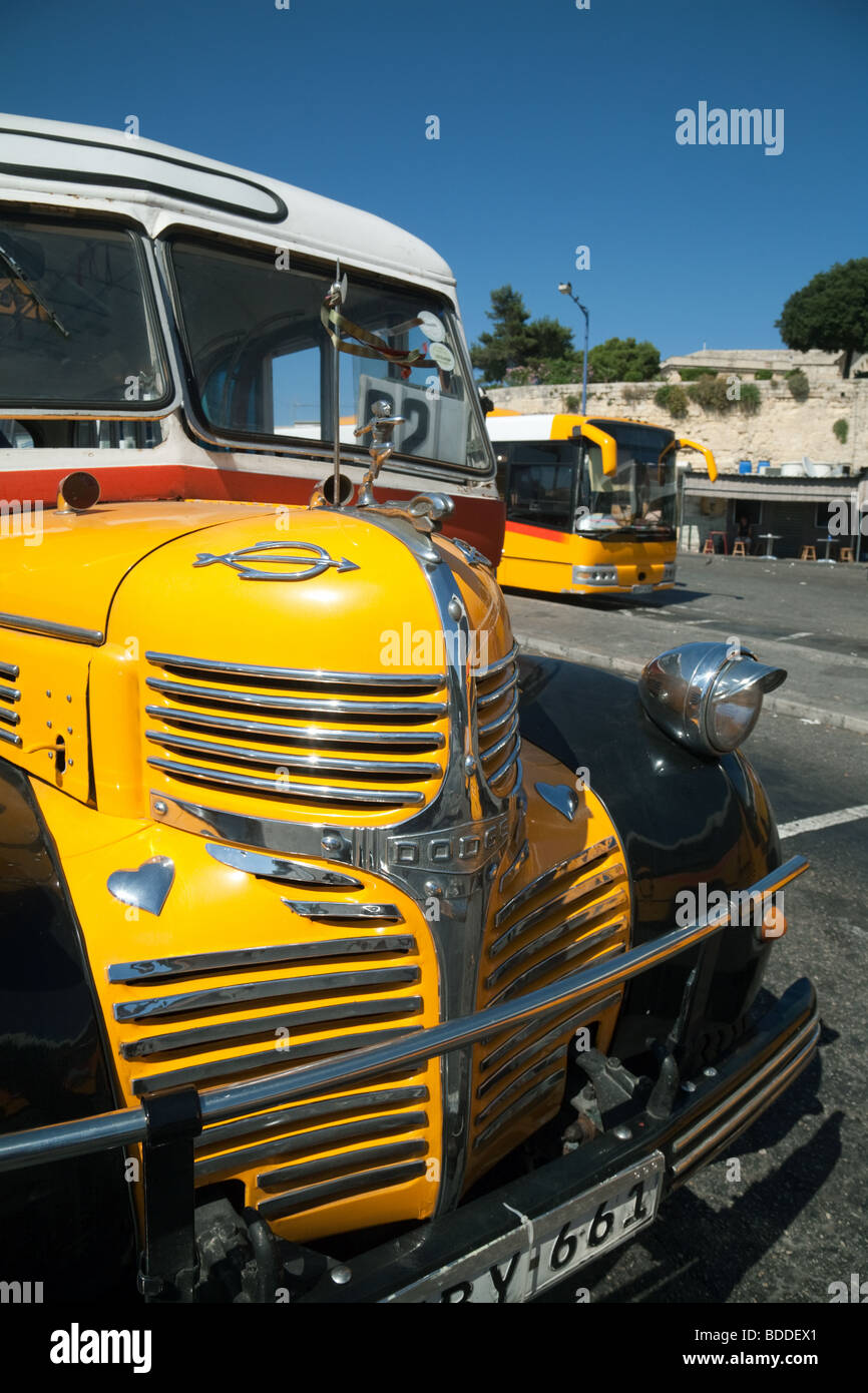 Traditional yellow buses, Valletta, Malta Stock Photo - Alamy