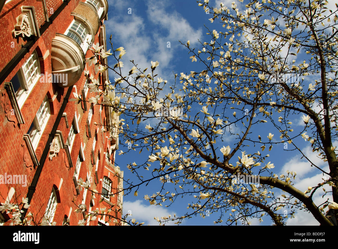 Spring in London. Old London architecture with red brown bricks and a ...
