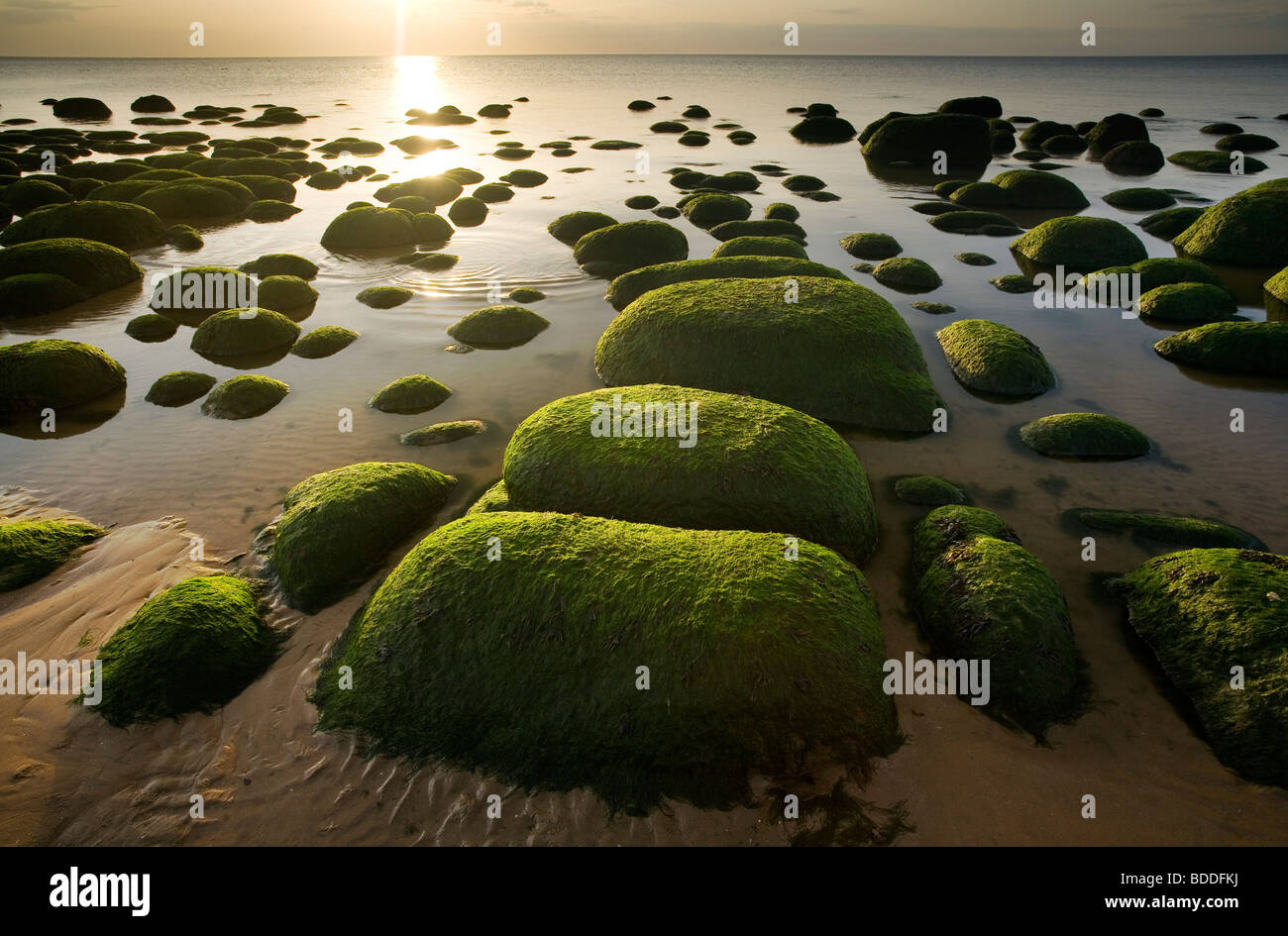 Carstone hi-res stock photography and images - Alamy