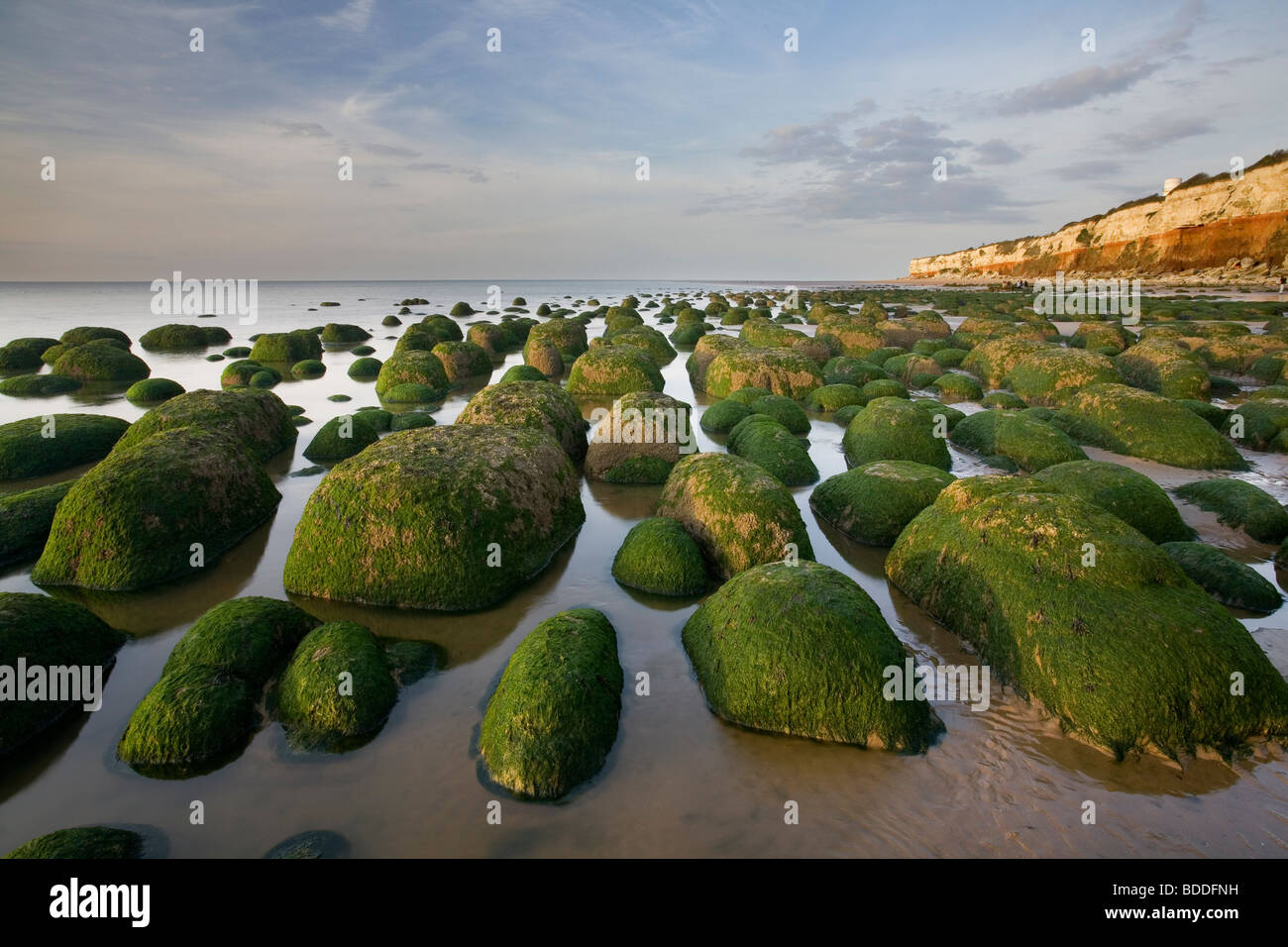 Red and white cliffs on Hunstanton and seaweed covered rocks at sunset ...