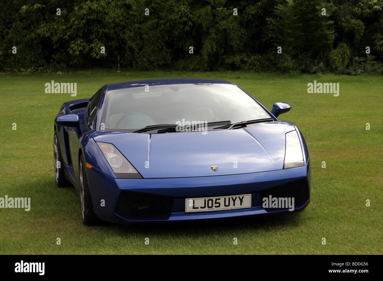 Lamboghini hi-res stock photography and images - Alamy