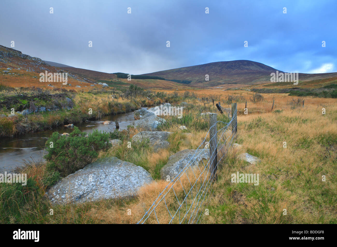 Mountain stream Co. Wicklow Ireland Stock Photo - Alamy