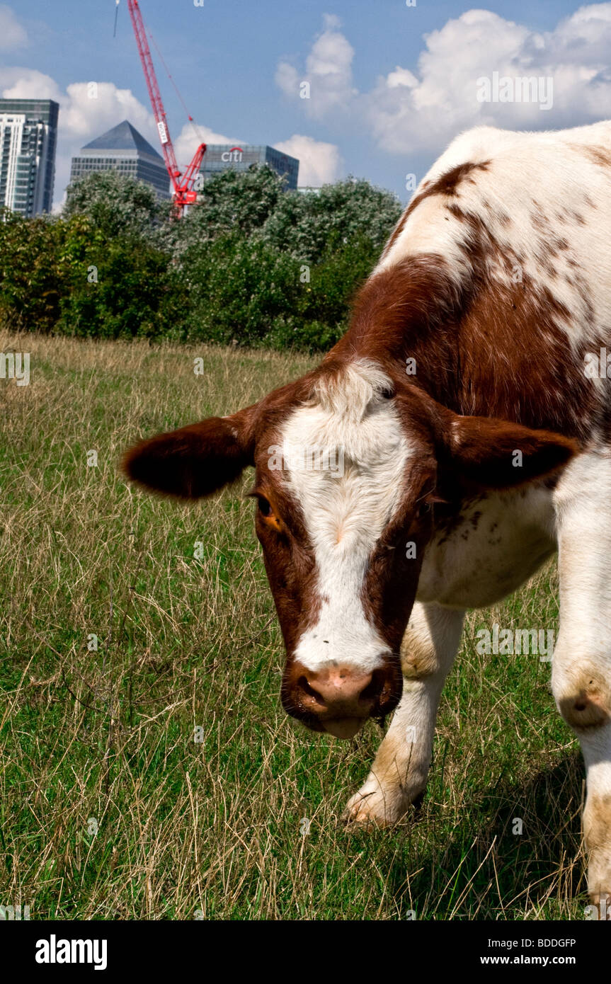 Deptford farm hi-res stock photography and images - Alamy