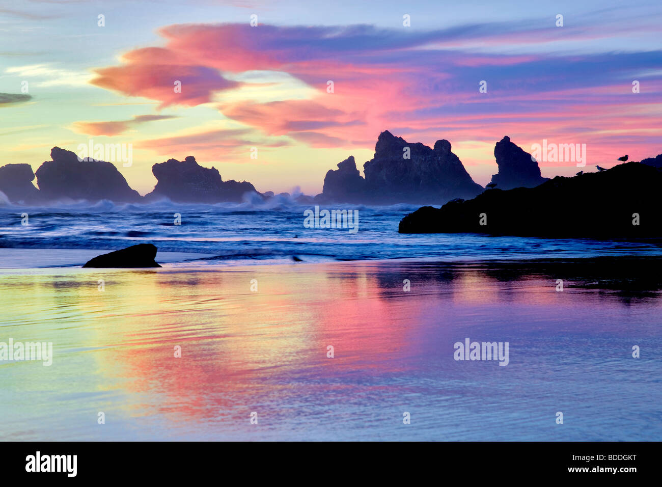 Low tide and sunset reflection at Bandon, Oregon Stock Photo - Alamy