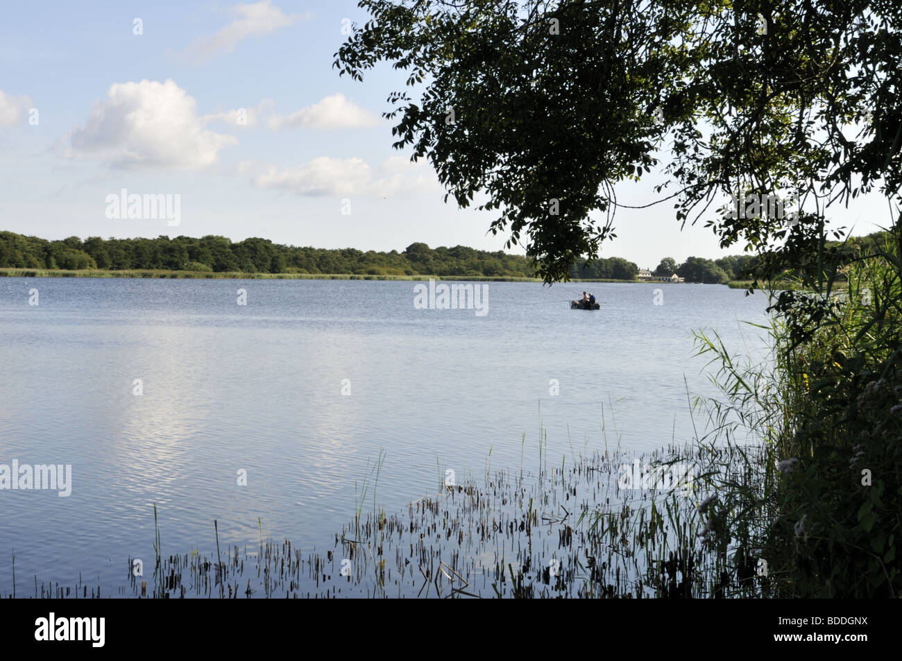 Filby Broad, Norfolk, UK Stock Photo - Alamy