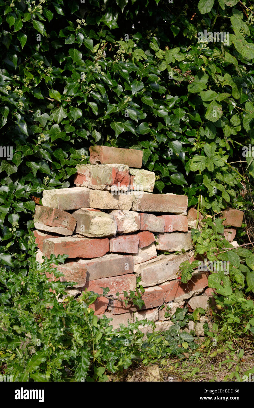 Reused bricks hi-res stock photography and images - Alamy