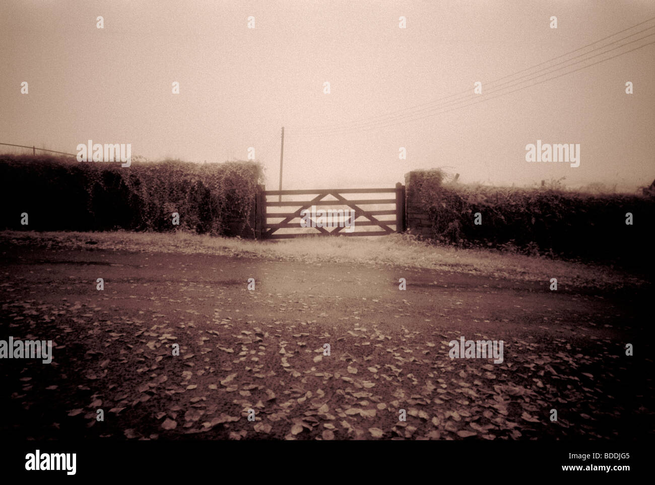 Infrared Gate in the mist Stock Photo - Alamy