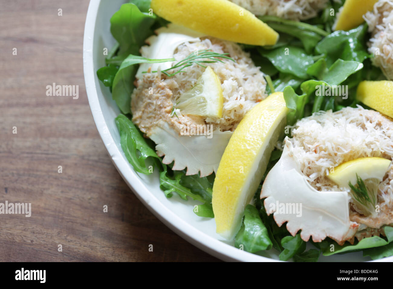 Dressed Crab In Shell High Resolution Stock Photography and Images - Alamy
