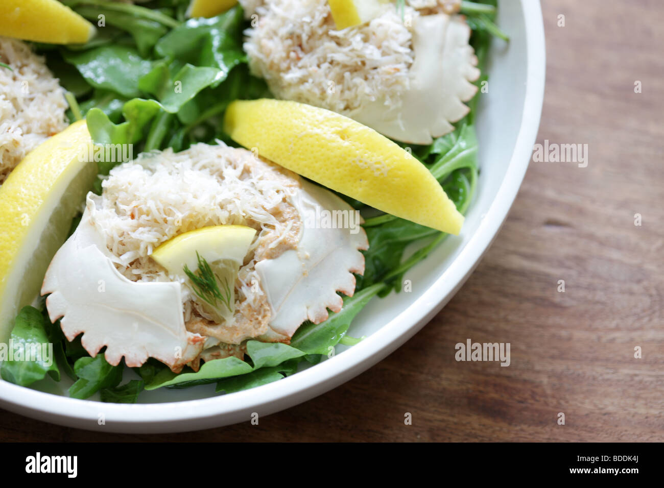 Dressed Crab In Shell High Resolution Stock Photography and Images - Alamy