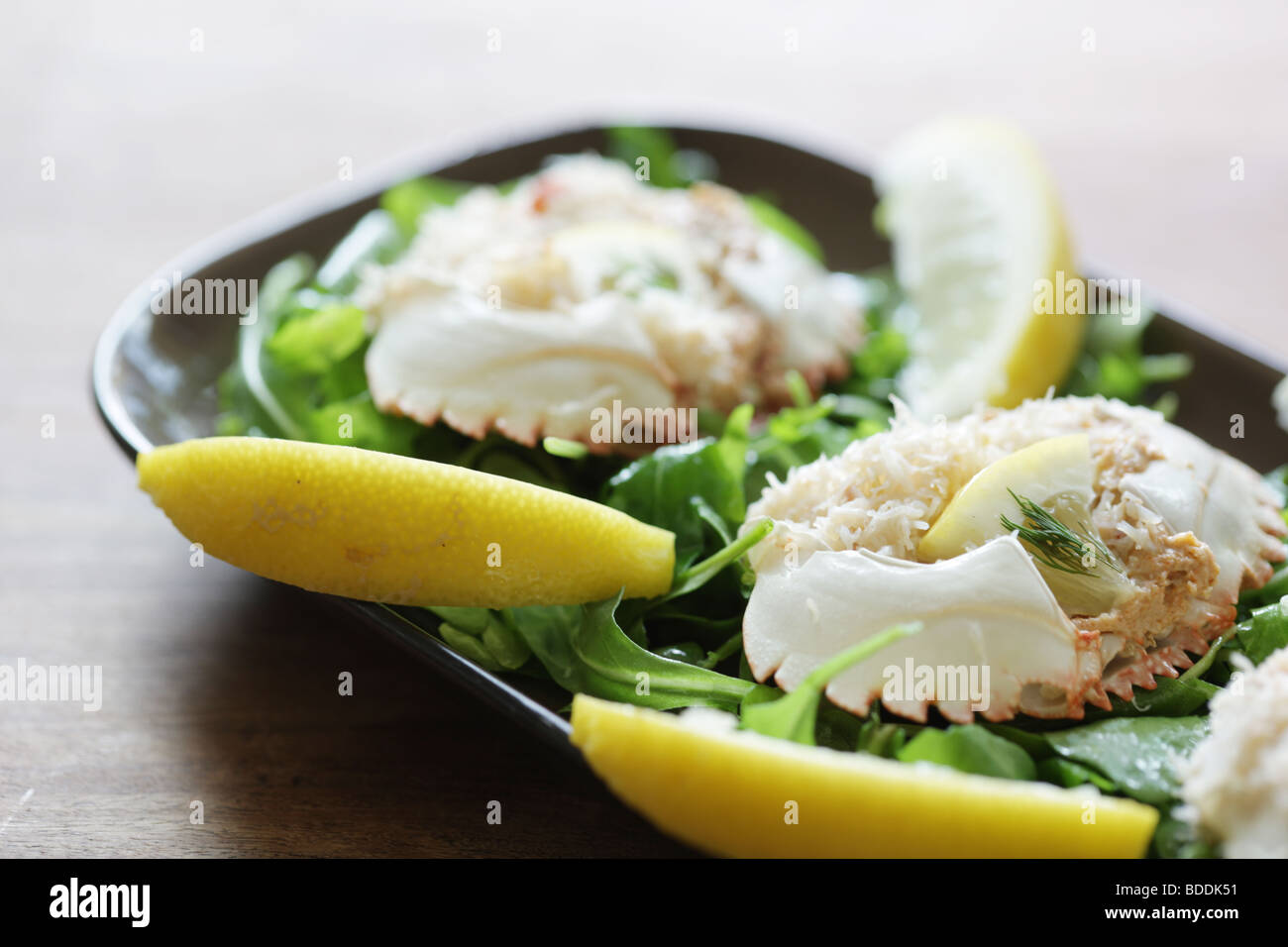 Dressed Crab In Shell High Resolution Stock Photography and Images - Alamy