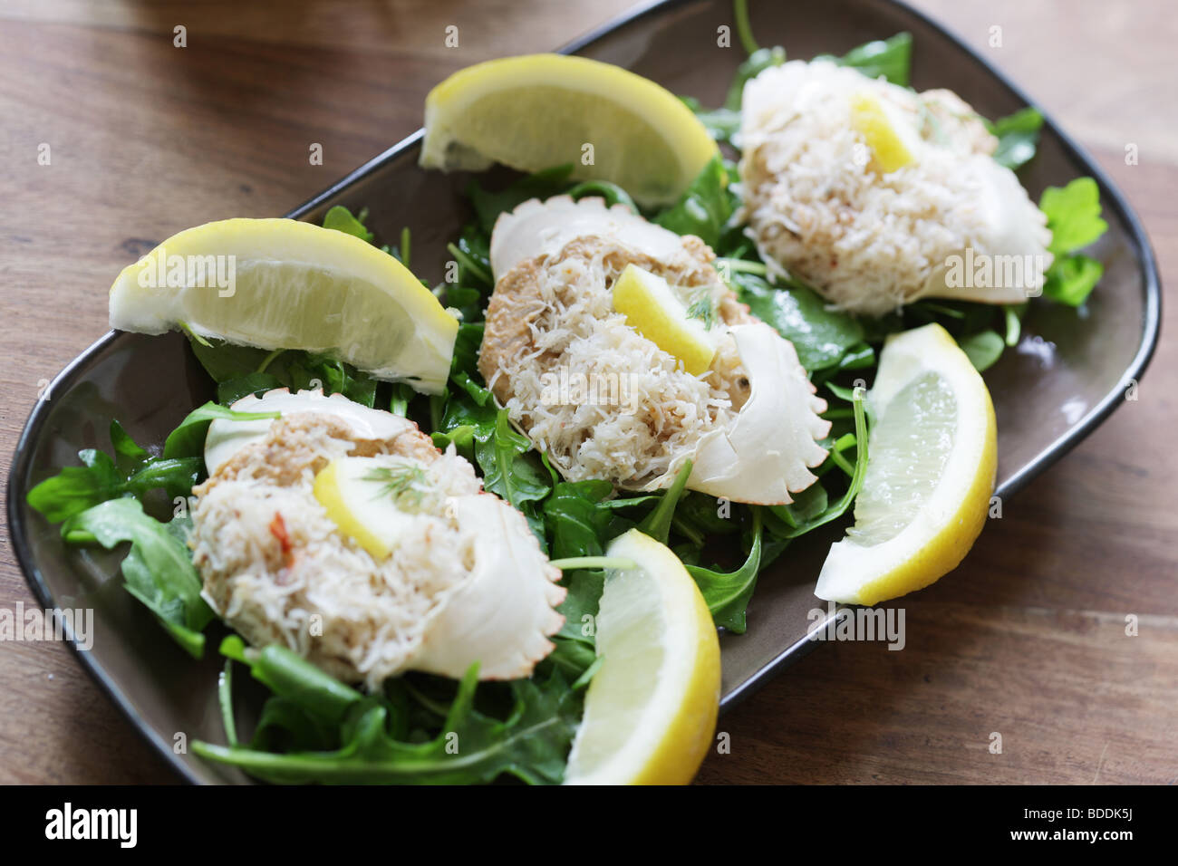 Dressed Crab In Shell High Resolution Stock Photography and Images - Alamy