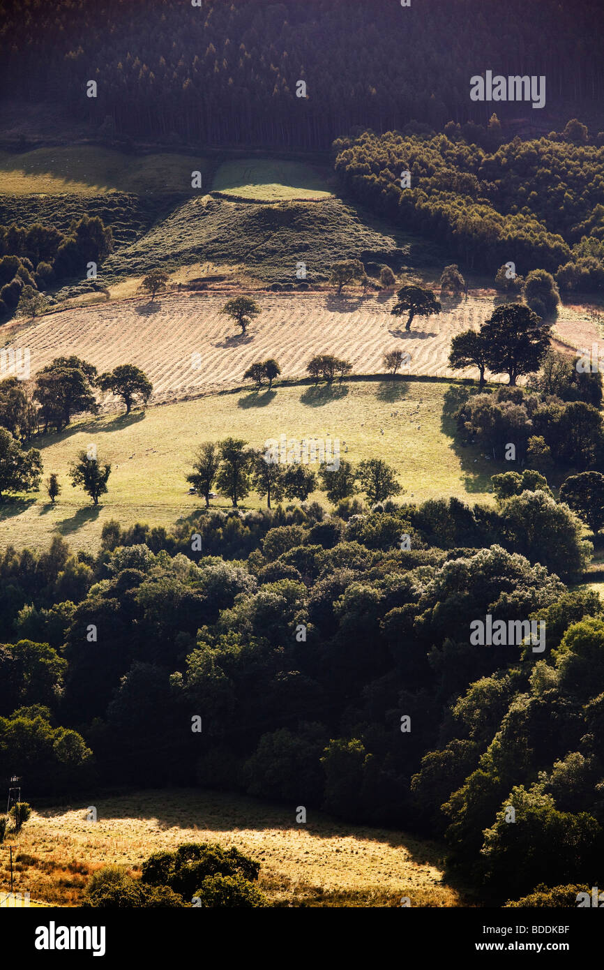 Bilsdale, Ryedale, North Yorkshire Moors National Park Stock Photo - Alamy