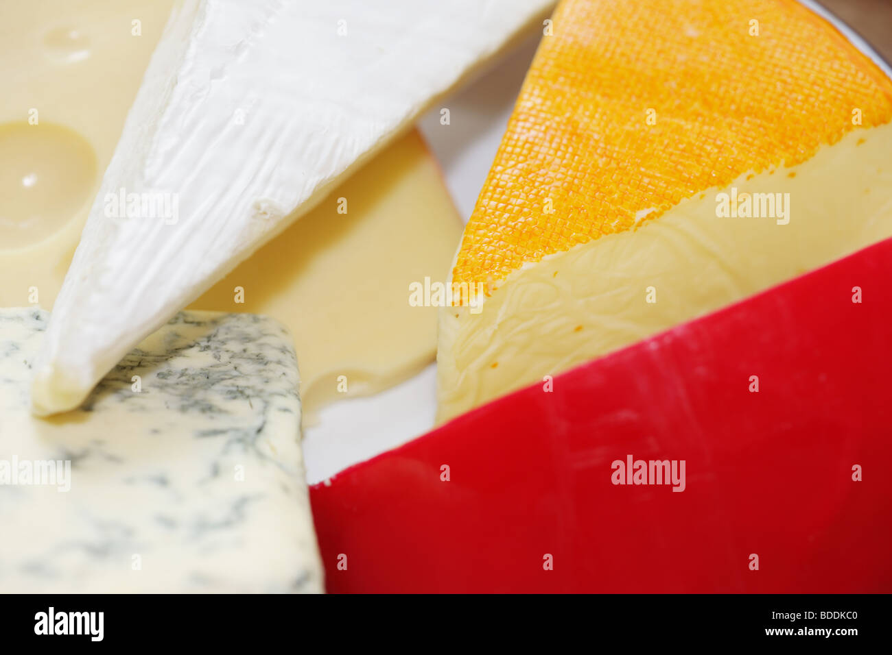 Selection Or Assortment Of Fresh Tasty Cheeses On A Dessert Cheese ...