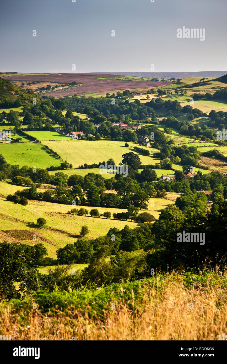 Daletown and Hawnby, Bilsdale, Ryedale, North Yorkshire Moors National ...