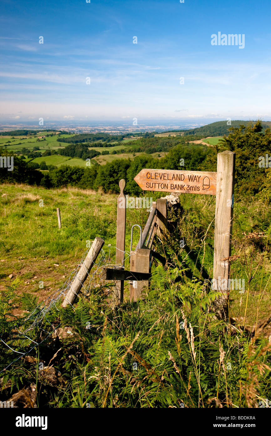 Sneck hi-res stock photography and images - Alamy