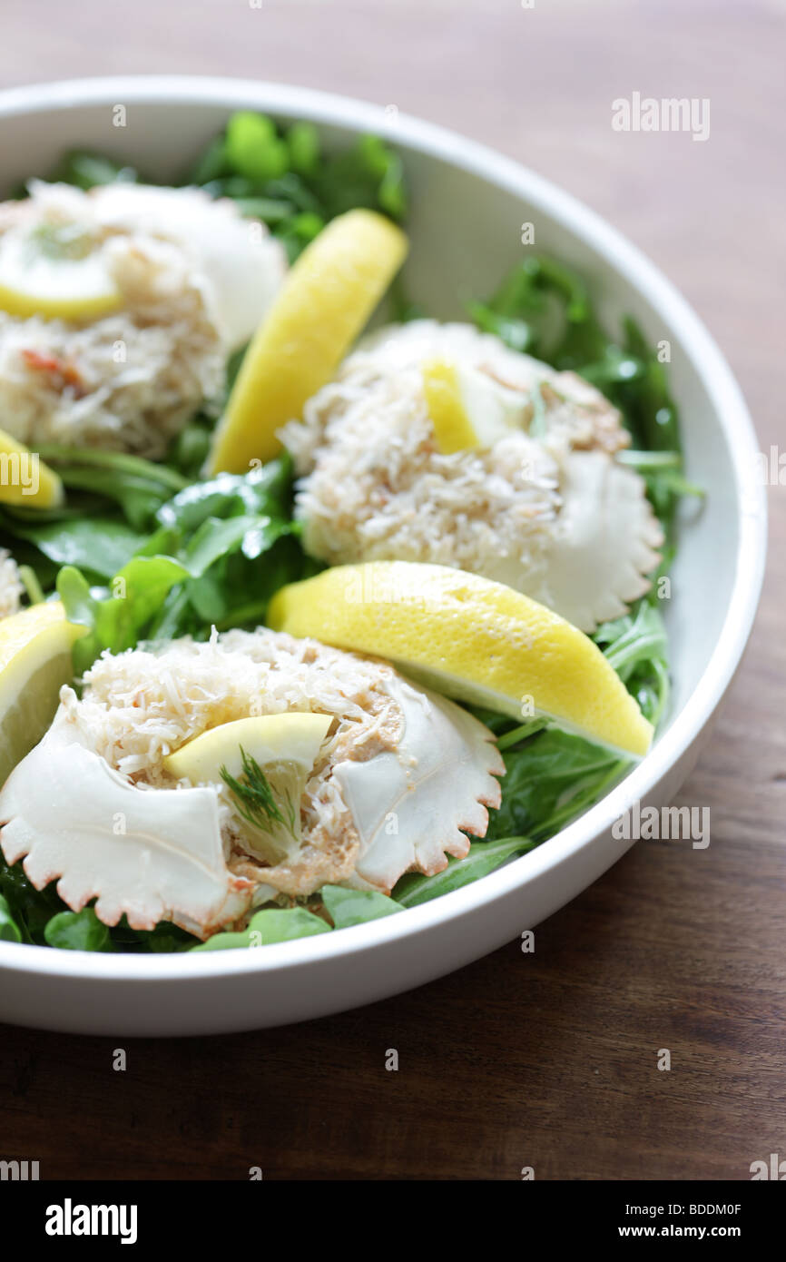 Dressed Crab In Shell High Resolution Stock Photography and Images - Alamy