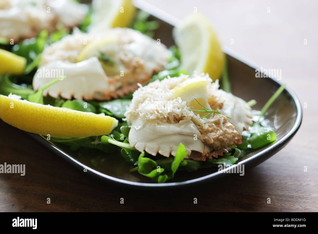 Dressed Crab In Shell High Resolution Stock Photography and Images - Alamy