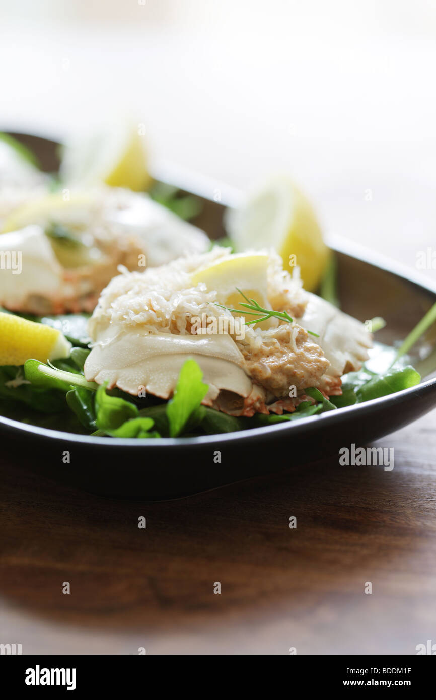 Dressed Crab In Shell High Resolution Stock Photography and Images - Alamy