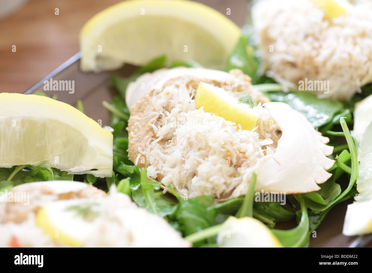 Dressed crab hi-res stock photography and images - Alamy